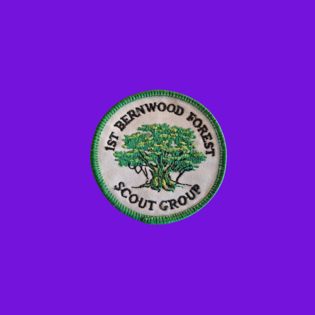 Bernwood Scouts Celebrate Major Milestone: 500 Members and Counting ...